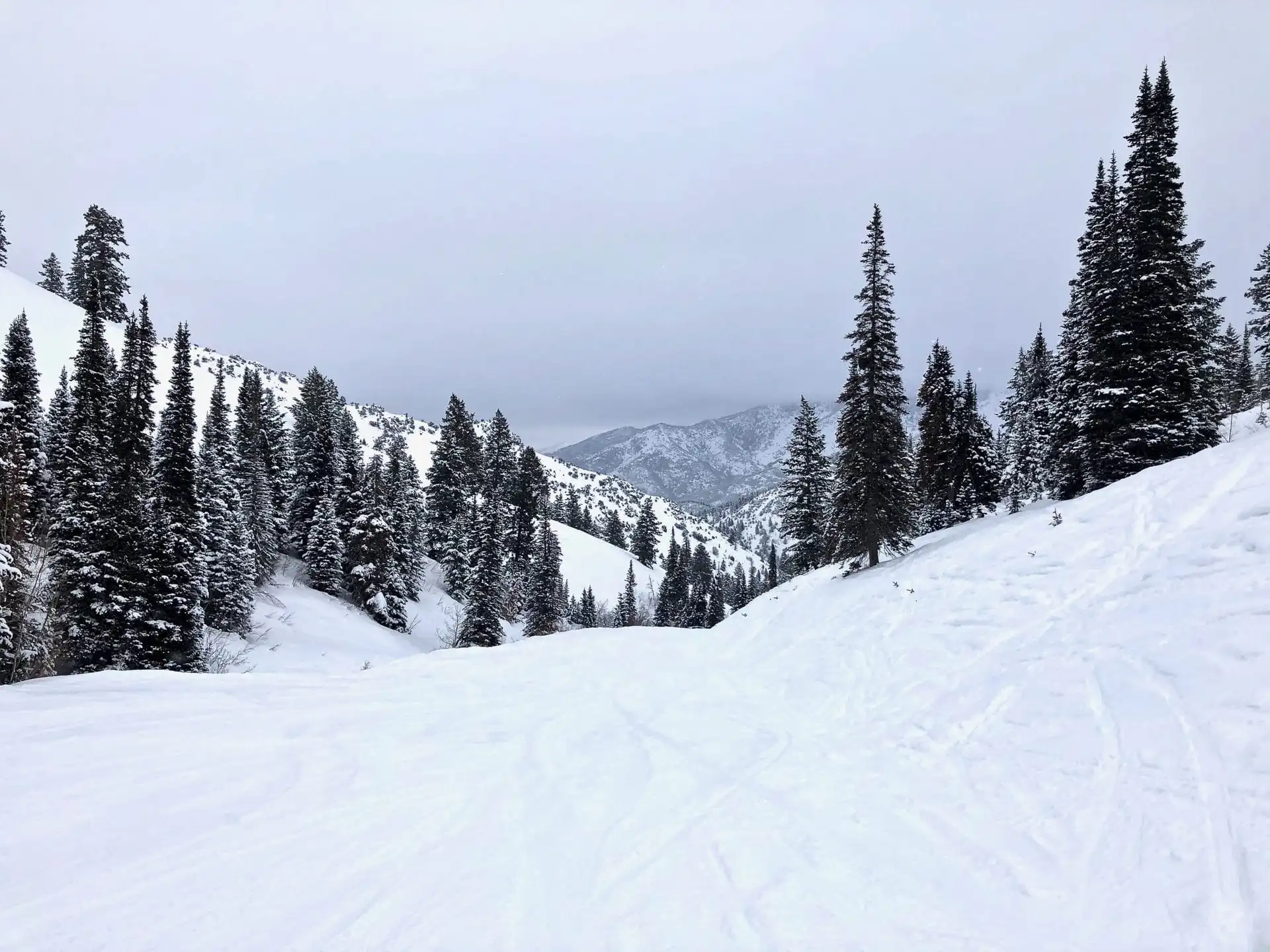 Powder Mountain Snow Day | Keith and Lindsey