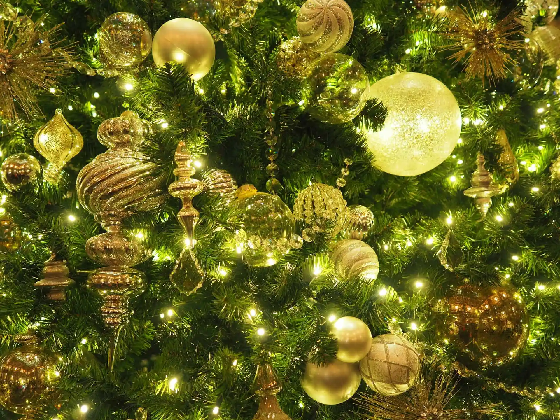 Salt Lake City at Christmas | Keith and Lindsey